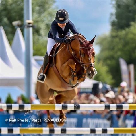 Découvrez Les Stages Alexandra Ledermann ∙ Al Sportswear Alexandra Ledermann Sportswear