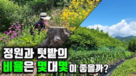정원과 텃밭의 비율은 몇대몇이 좋을까 귀촌 초기부터 현재까지 정원과 텃밭의 변천사 정원과 텃밭의 각기 다른 즐거움 강원도 정원 Youtube