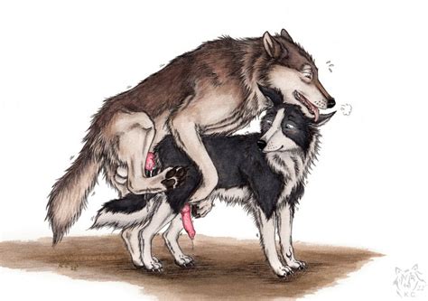 Rule 34 2022 Anal Anal Sex Animal Genitalia Animal Penis Balls Border