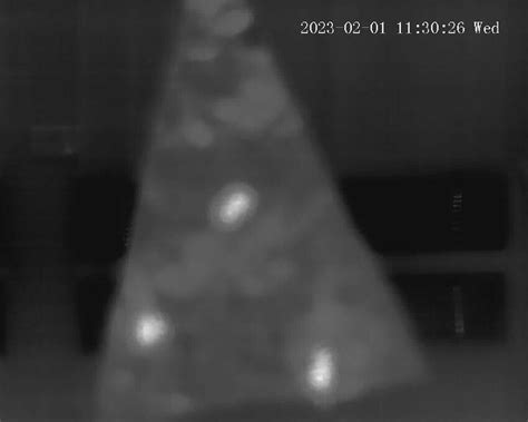 Examples Of Hotspot Identification Results A The Input Images B Download Scientific