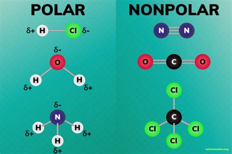 Is N Pentane An Ionic Molecular Nonpolar Or Molecular Polar Compound What Intermolecular Forces