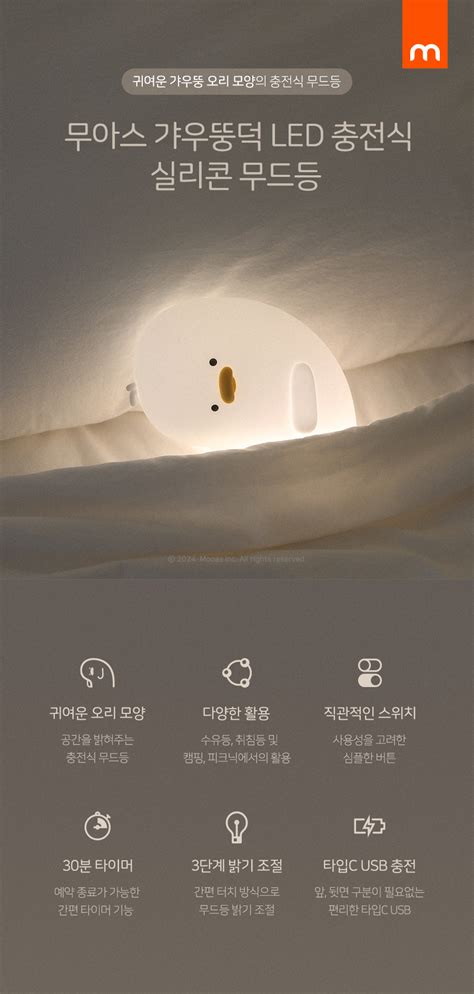 Curious Duck 01 