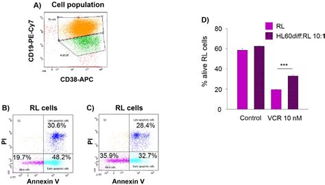 Neutrophil Isolation And Analysis To Determine Their Role In Lymphoma Cell Sensitivity To
