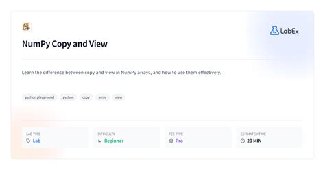 entendendo cópia e visualização view em arrays numpy guia completo