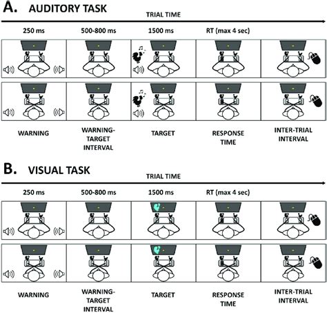Schematic Representation Of The Experimental Procedure For The Auditory Download Scientific