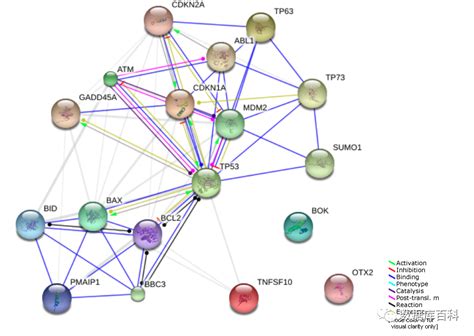 相互作用网络分析基础 知乎