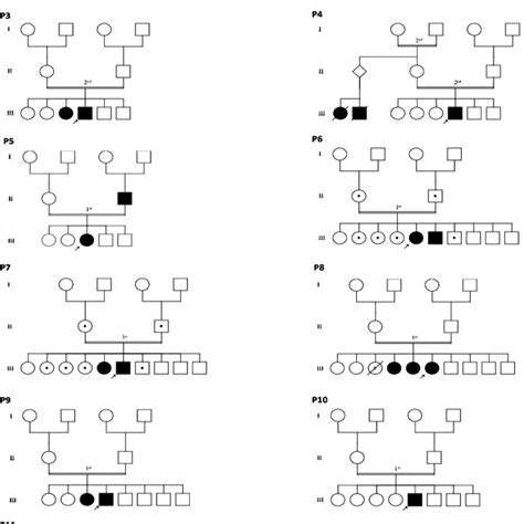 Familial Pedigree Of The Subjects Three Generation Pedigrees For 11