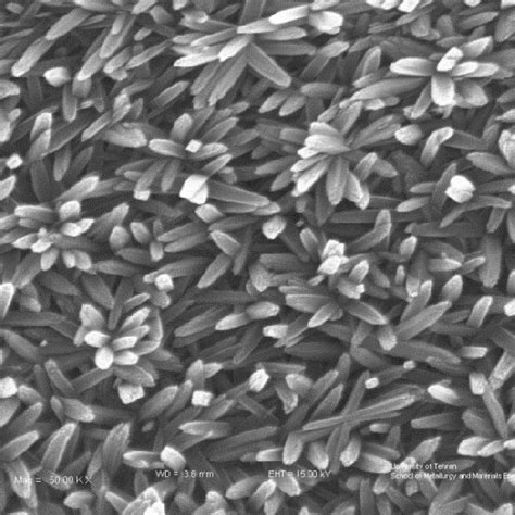 Fesem Image Of Sample Feooh Thin Film Sample G17 A Large Number Of