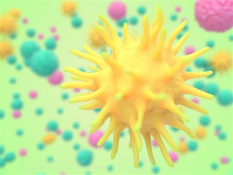 Phacoemulsification With Intraocular Lens Implantation Ami 2018 Meeting