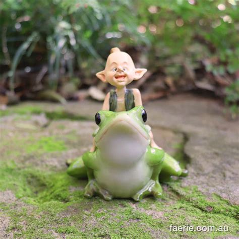 Pixie Riding His Frog Friend Faerie Store