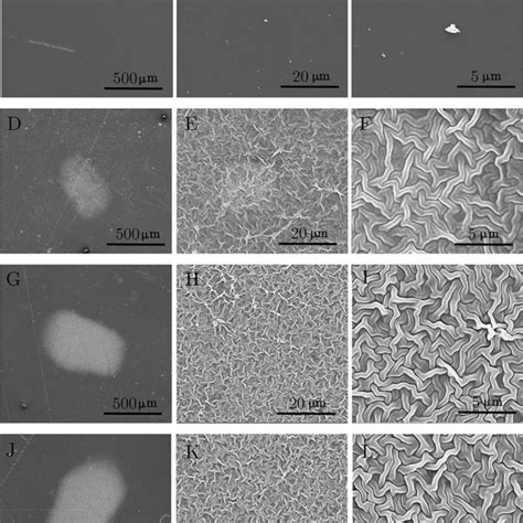 Sem Micrographs Of Modified Layers Magnifications Of 10000 × A