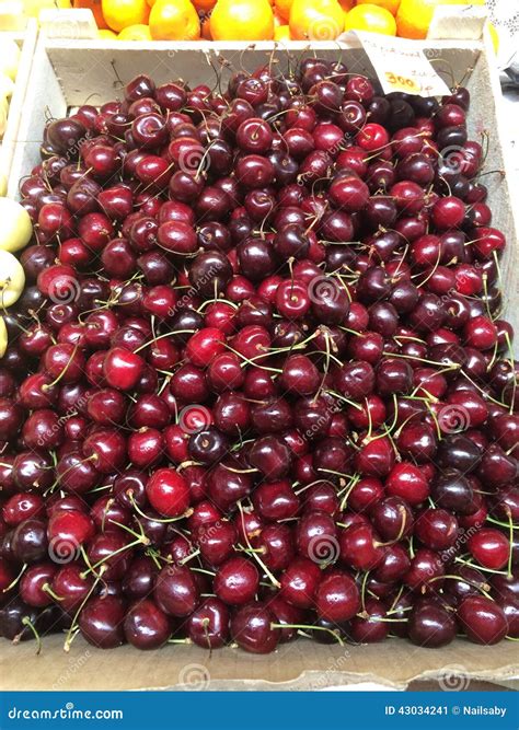 Cherry Stock Image Image Of Sweet Cherry Bright Fruit 43034241