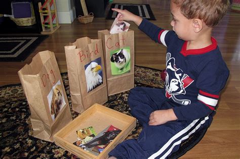 Peaceful Parenting The Importance Of Sorting Activities Why How Montessori Traditional