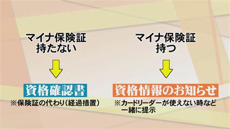 従来の国保保険証は多くが7月末で失効 マイナ保険証導入も未利用率高く…トラブルなど窓口での負担懸念 失効した保険証の使用延長を国が医療機関に「お願い」 Tbs News Dig 3ページ