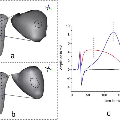 Source Modeling And Simulation A B Heart And Torso Models Aligned Download Scientific