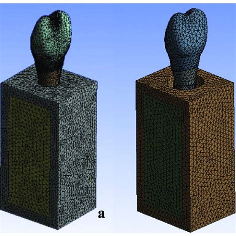 The Finite Element Models The Mesh Is Shown Of The Implant And