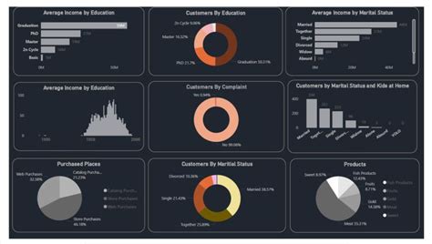 dataanalytics customerinsights dashboard businessintelligence