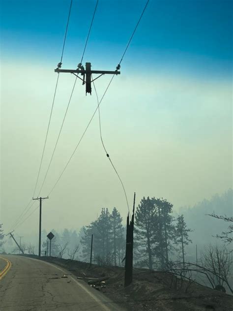 Bridge Fire Wrightwood Angeles National Forest Tacky Raccoons