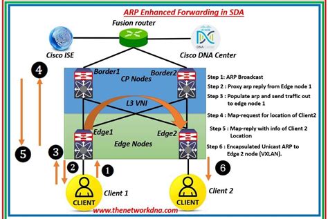 Part 2 Cisco Sd Access Arp Enhanced Forwarding The Network Dna