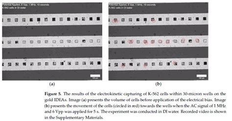 Paper “electrokinetic Manipulation Of Biological Cells Towards Biotechnology Applications” Has