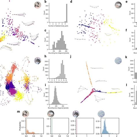 Multi Animal Deeplabcut Architecture And Benchmarking Datasets A