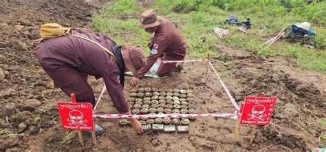 ស៊ីម៉ាក់ បាន ដោះមីន ជាង ៦ ម៉ឺន គ្រាប់ ក្នុងរយៈពេល៦ខែ ក្នុងឆ្នាំ២០២៤