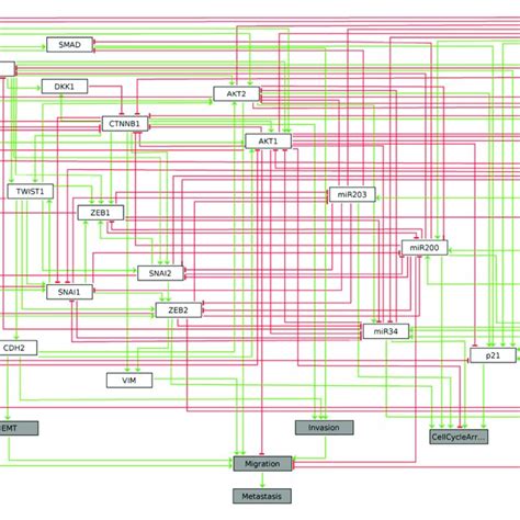 Graphical Output Resulting From The Input Code In Download Scientific Diagram