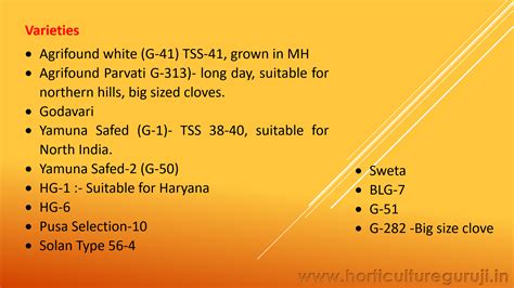 Garlic Ppt Horticulture Guruji