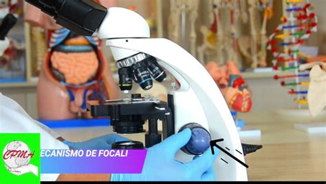 Microscópio Biológico Tim 18 Ong Cpma Free Download Borrow And Streaming Internet Archive