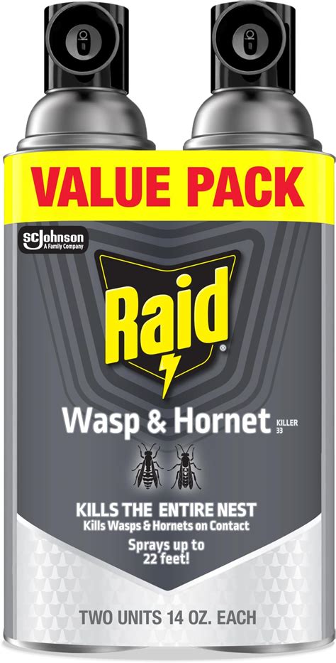 Raid Wasp And Hornet Killer Spray Bug Killer Kills The