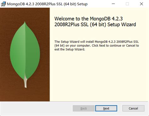 解决mongodb安装，启动数据库。连接数据库失败问题 亲测有效mongodb Yapi部署数据库连接失败 Csdn博客