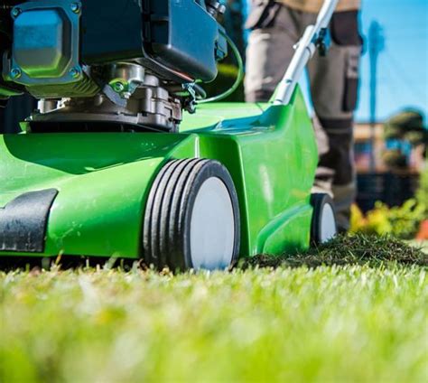 Dethatching Grassnectar Lawn Care