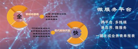 软件微服务saas快速开发框架平台