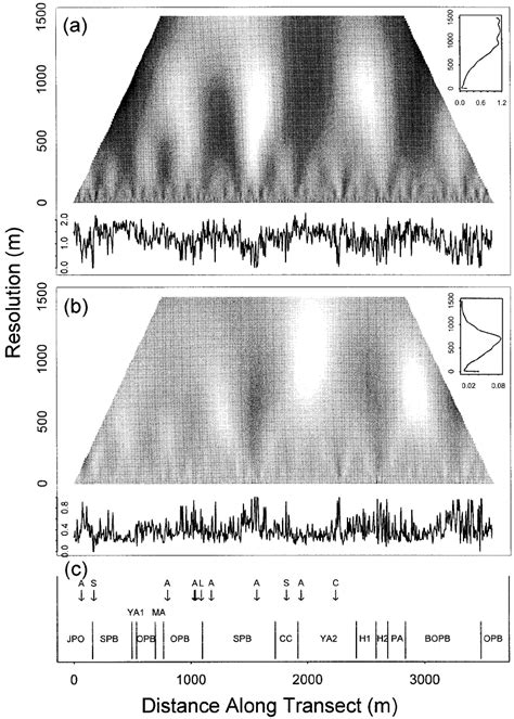 Relationships Between Understory Plant Diversity And Landscape