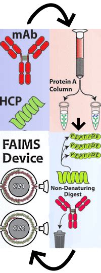 Matrix Science Mascot Newsletter August 2020