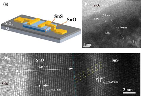 A Schematic Illustration Of The Field‐effect Transistor Based On Download Scientific Diagram