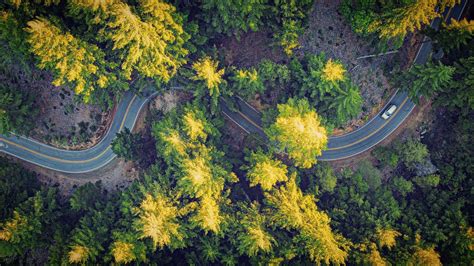 Can Machine Learning Save Call Centers By Kensho Communications