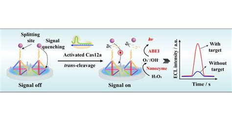 Mesoporous Nanozyme Enhanced Dna Tetrahedron Electrochemiluminescent