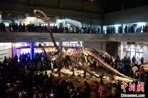 四川自貢恐龍博物館將上新恐龍探秘館6月底亮相 壹讀
