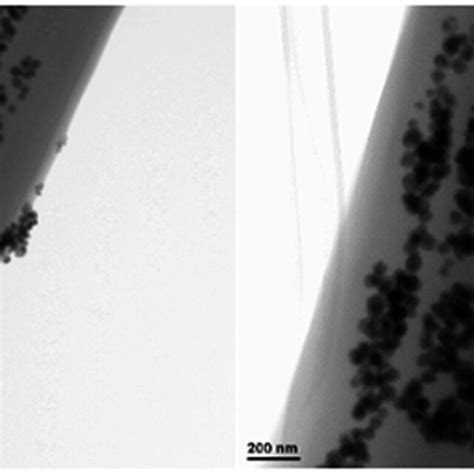 Sers Spectra Of Agnpspcl Nanofiber Membrane With Different Melamine Download Scientific