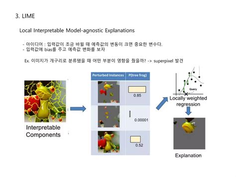 Model Interpretation Ppt