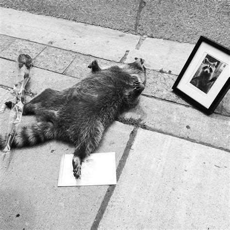 Pin On Social Media Examples And Lessons