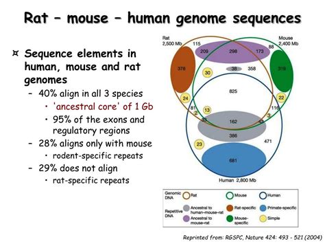 Ppt Genome Biology And Biotechnology Powerpoint Presentation Free Download Id5945567