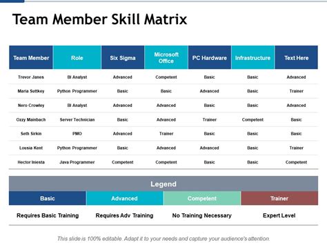 Team Member Skill Matrix Ppt PowerPoint Presentation Portfolio Graphics Design PowerPoint