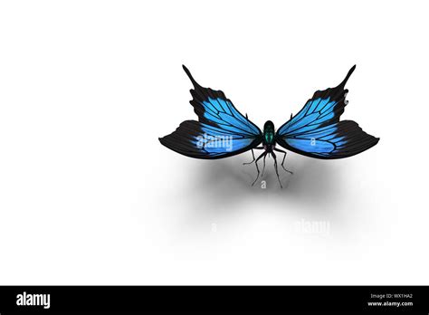 The Blue Morpho Butterfly 3D Rendering Stock Photo Alamy