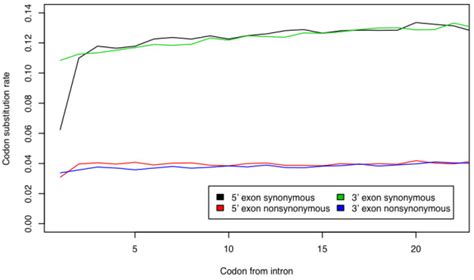 Synonymous And Nonsynonymous Codon Substitution Rates At The Ends Of Download Scientific