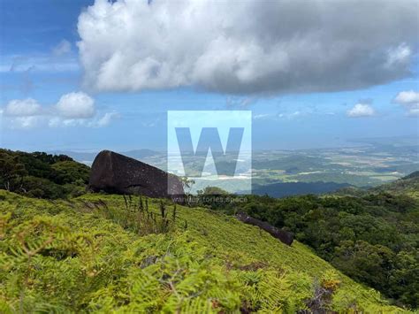 Devils Thumb Manjal Jimalji