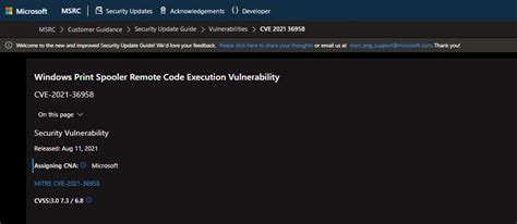 CVE New Zero Day Vulnerability In Windows Print Spooler Service No Patch Available