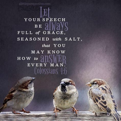 Let Your Speech Be Full Of Grace Seasoned With Salt At All Times