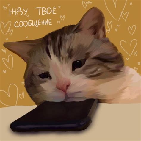 Жду твоё сообщение 😍